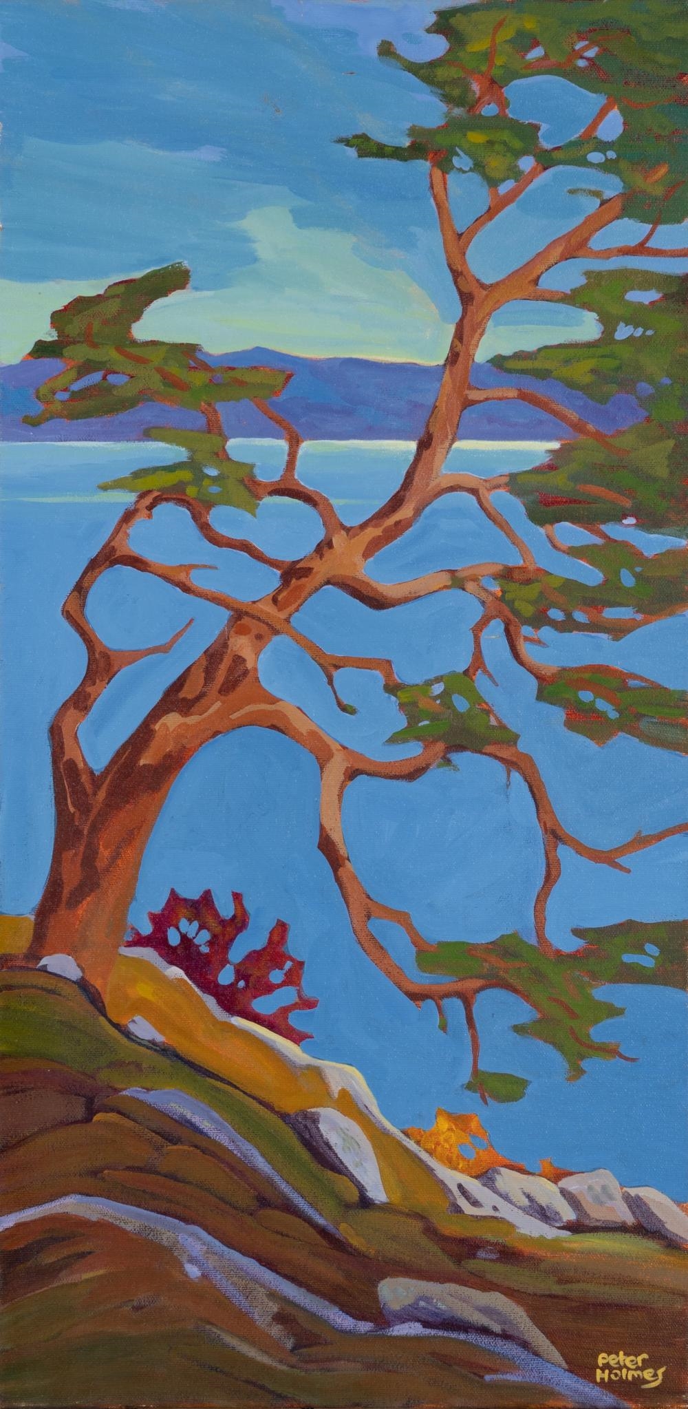 Peter Holmes | Arbutus | MutualArt