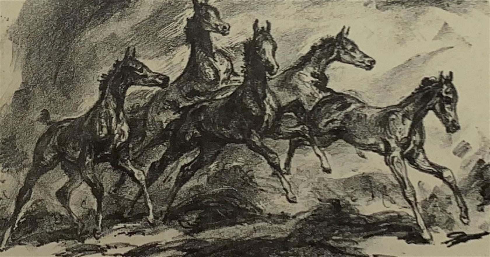 Emil Kotrba | Stádo koní | MutualArt