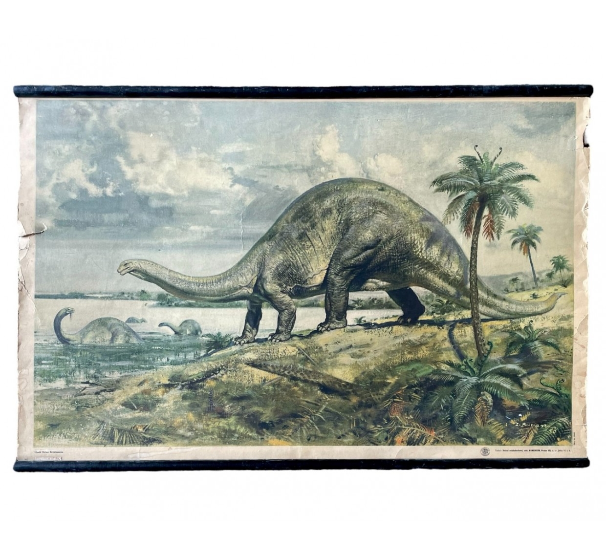 Zdeněk Burian | Brontosaurus - výukový plakát (1950) | MutualArt
