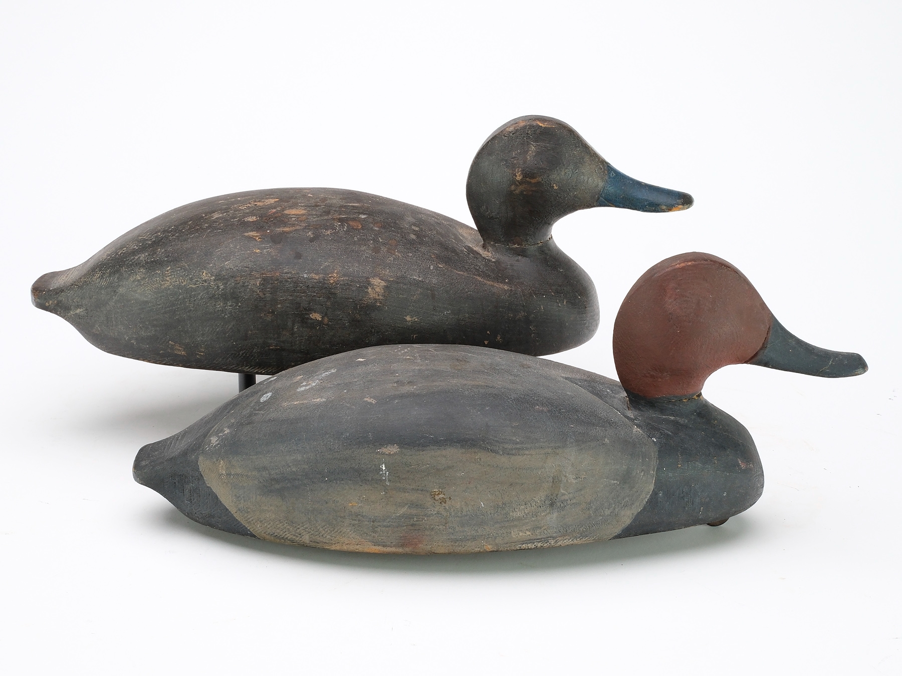 William Finch | Pair of redheads | MutualArt