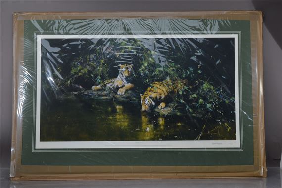 David Shepard | 3 Artworks at Auction | MutualArt