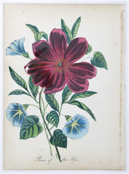 Asa. B. Dr. Strong | Peona of the Alps (1851) | MutualArt