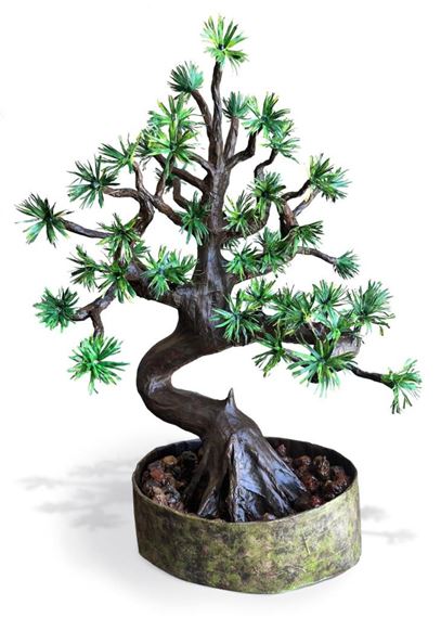 Sandy Shimooka | Bonsai Pinus Thunbergii Masking Tape | MutualArt