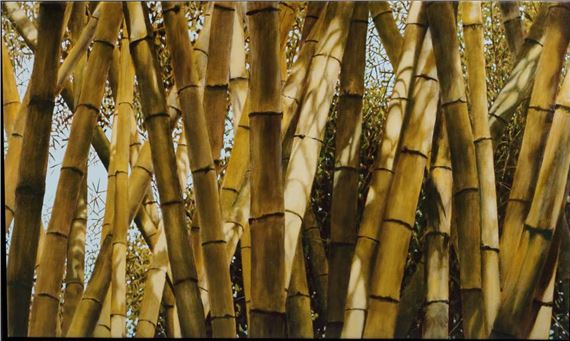 Tim Allen | 1 Artworks | MutualArt