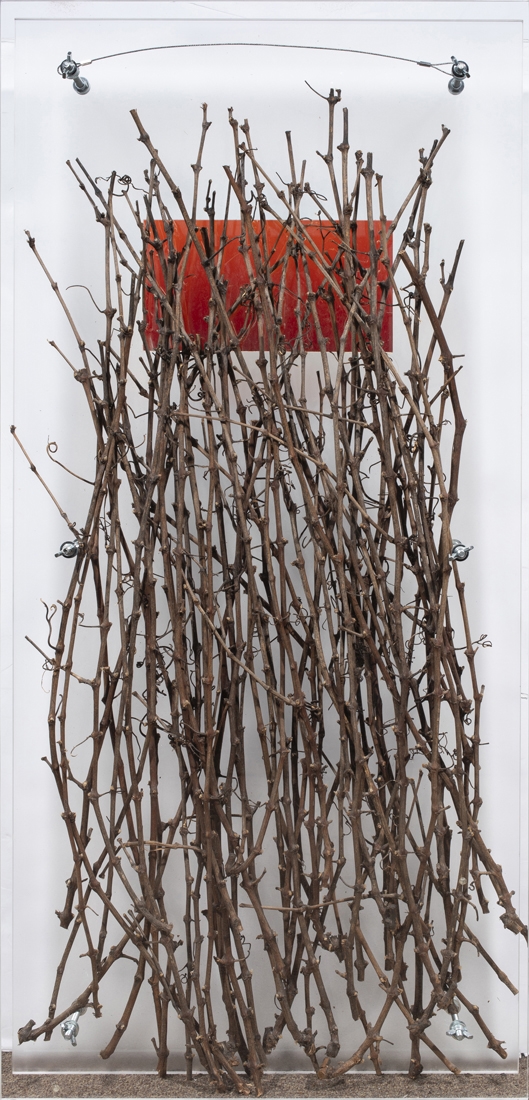 Gordon Huether | Veiled Nature Series | MutualArt