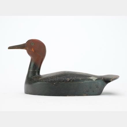 Harold Nolan | Rare merganser hen | MutualArt