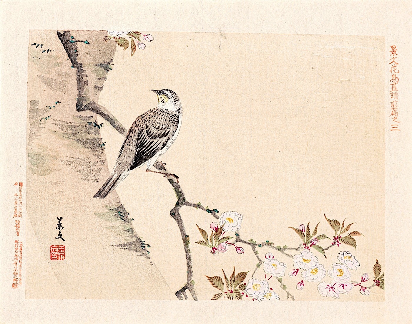 Matsumura Keibun | Bird and cherry blossom branch | MutualArt