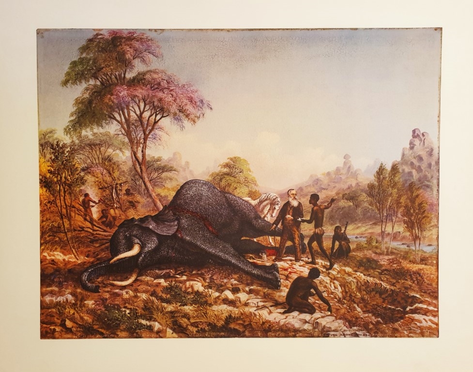 Thomas Baines | Publ. Central African Archives | MutualArt
