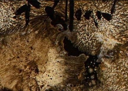 Do Xuan Doan | The Maiden | MutualArt