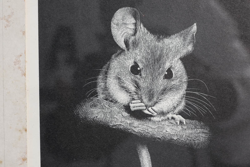 William Geldart | field mouse | MutualArt