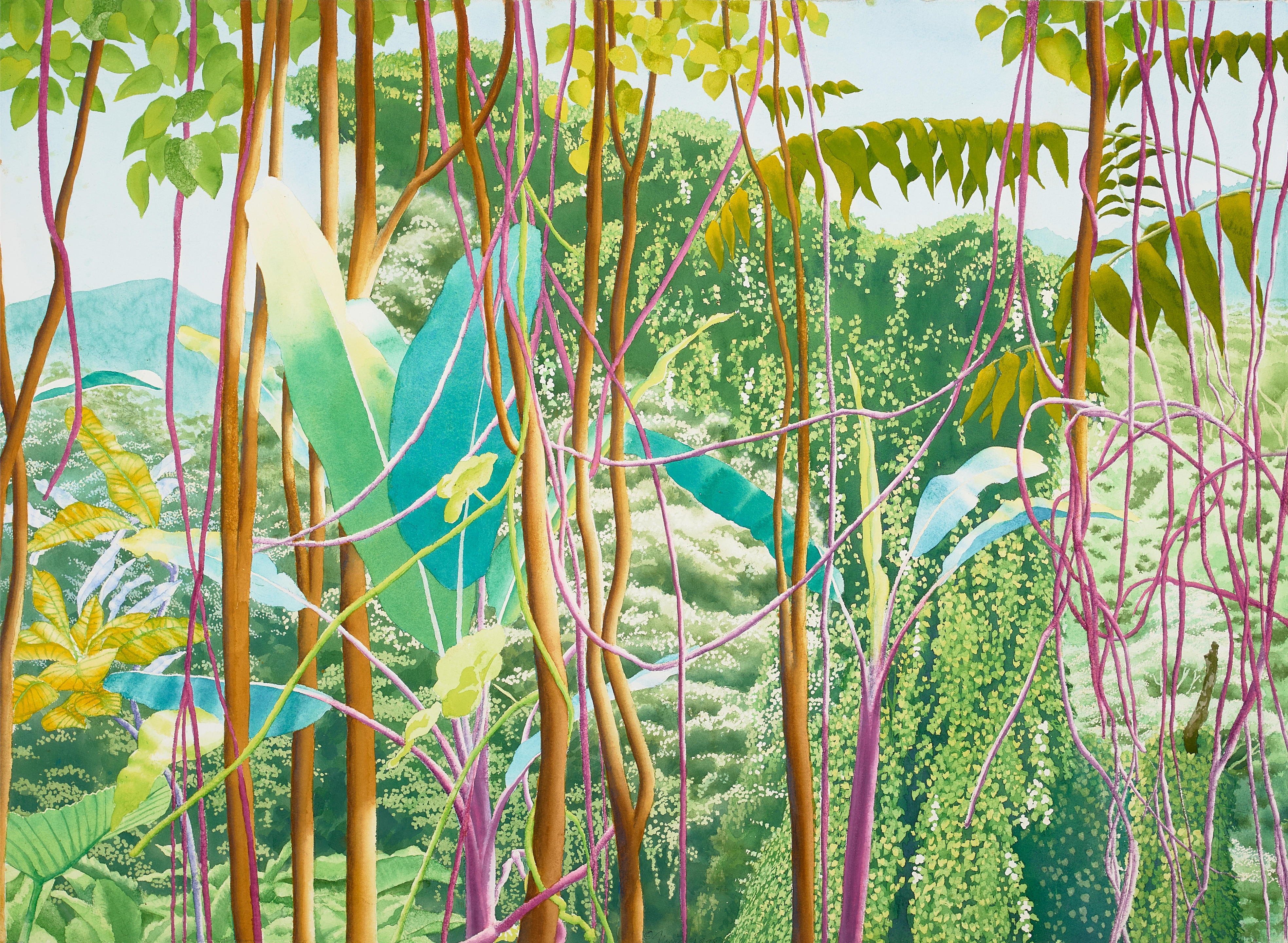 Ben Norris | Manoa Rainforest XIX (1998) | MutualArt