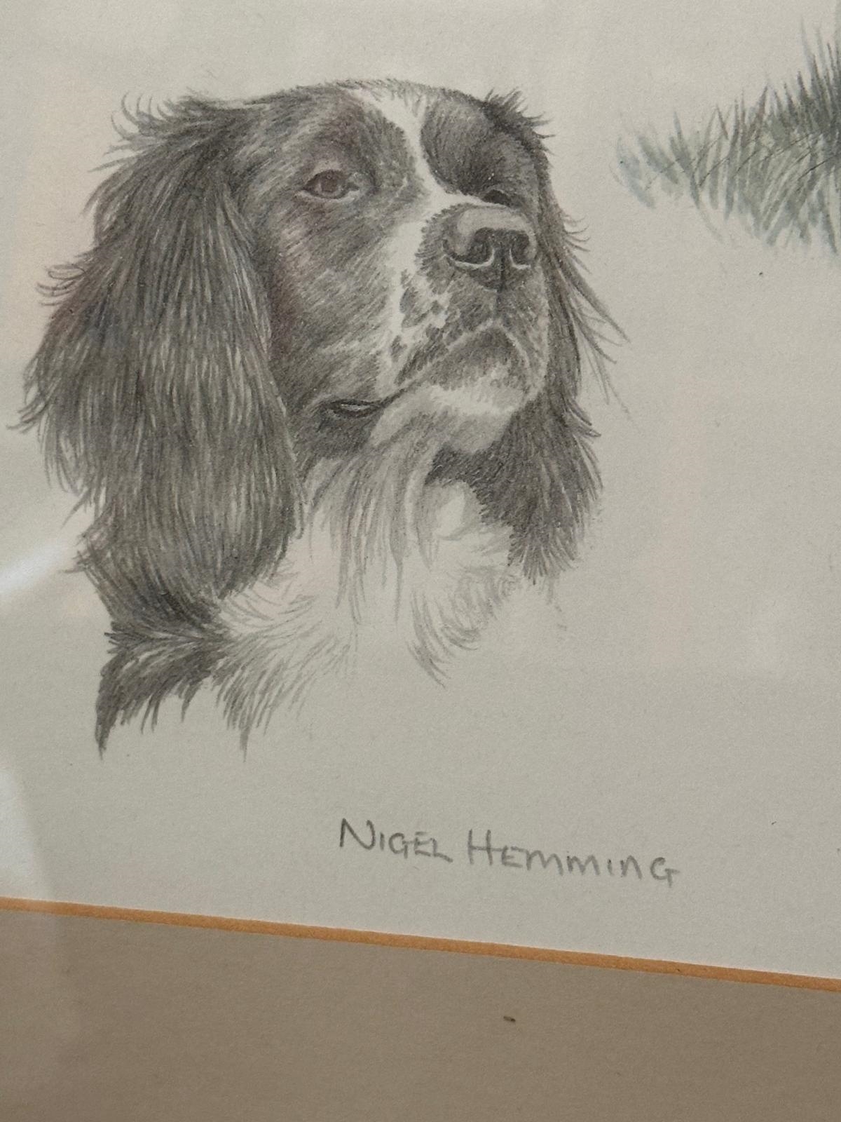 Nigel Hemming | A pencil drawing of springer spaniels | MutualArt