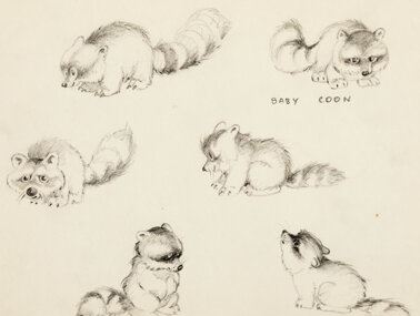 Albert Hurter | Snow White and the Seven Dwarfs Baby Raccoon Character ...