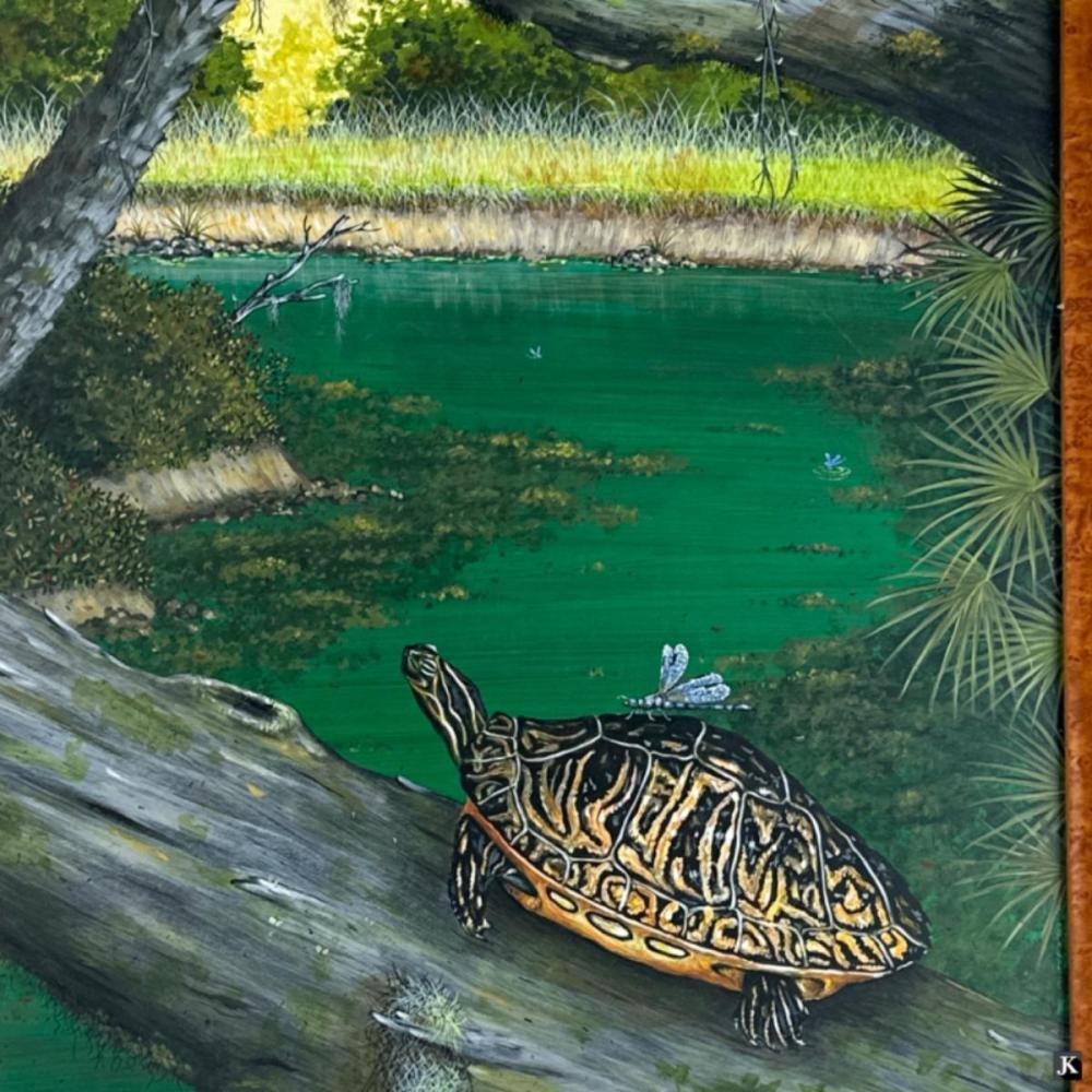 Raymond Plockelman | Florida Cooter | MutualArt