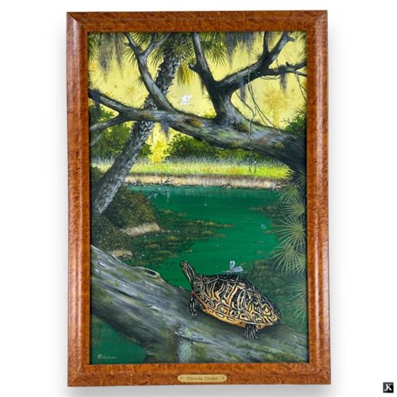 Raymond Plockelman | Florida Cooter | MutualArt