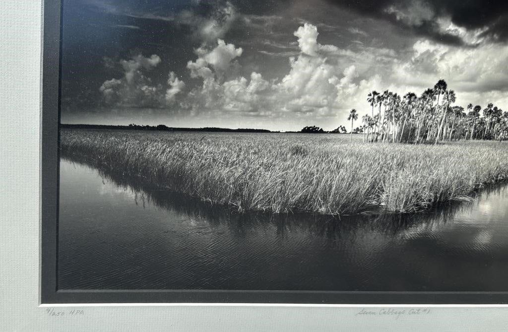 Clyde Butcher | CLYDE BUTCHER LIMITED EDITION FLORIDA PHOTOGRAPH (1990 ...