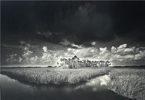 Clyde Butcher | CLYDE BUTCHER LIMITED EDITION FLORIDA PHOTOGRAPH (1990 ...