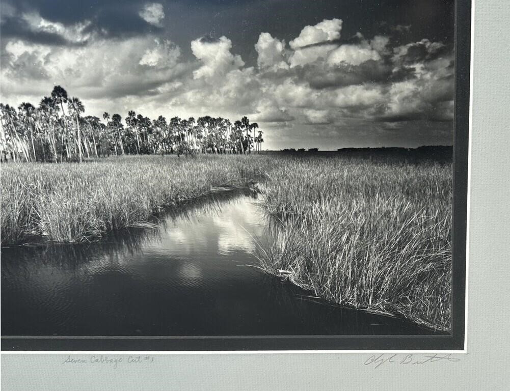 Clyde Butcher | CLYDE BUTCHER LIMITED EDITION FLORIDA PHOTOGRAPH (1990 ...