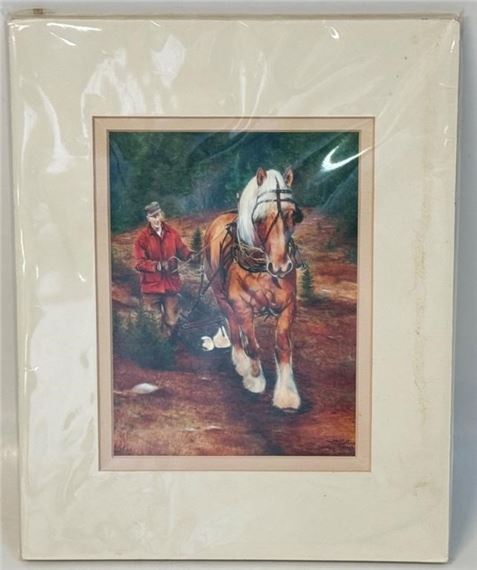 Arlene D. Collins | Biography