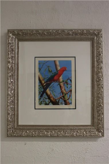 Garry Fleming | Garry Fleming (Circa 28) | MutualArt