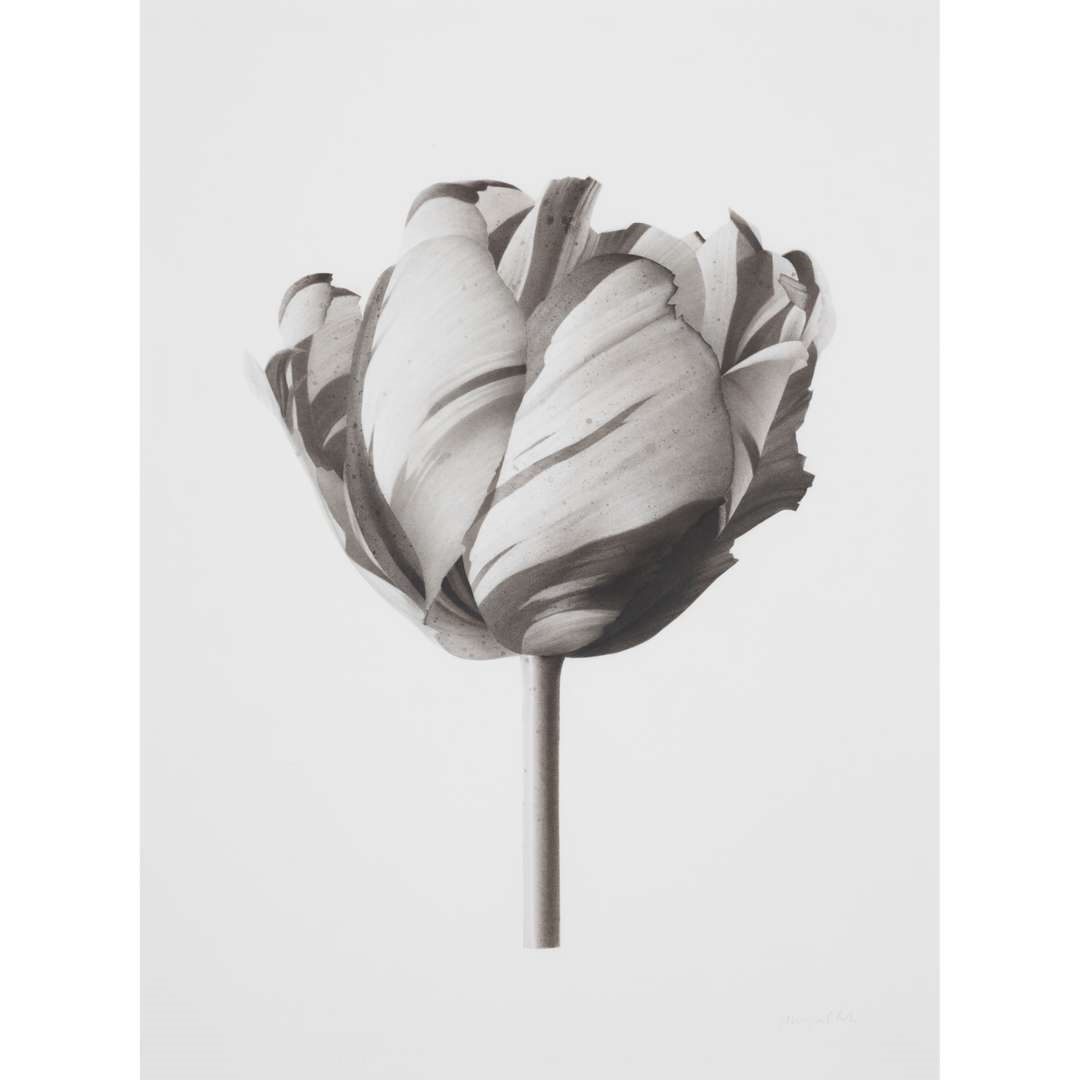 Jonathan Delafield Cook | Seed I (2002) | MutualArt