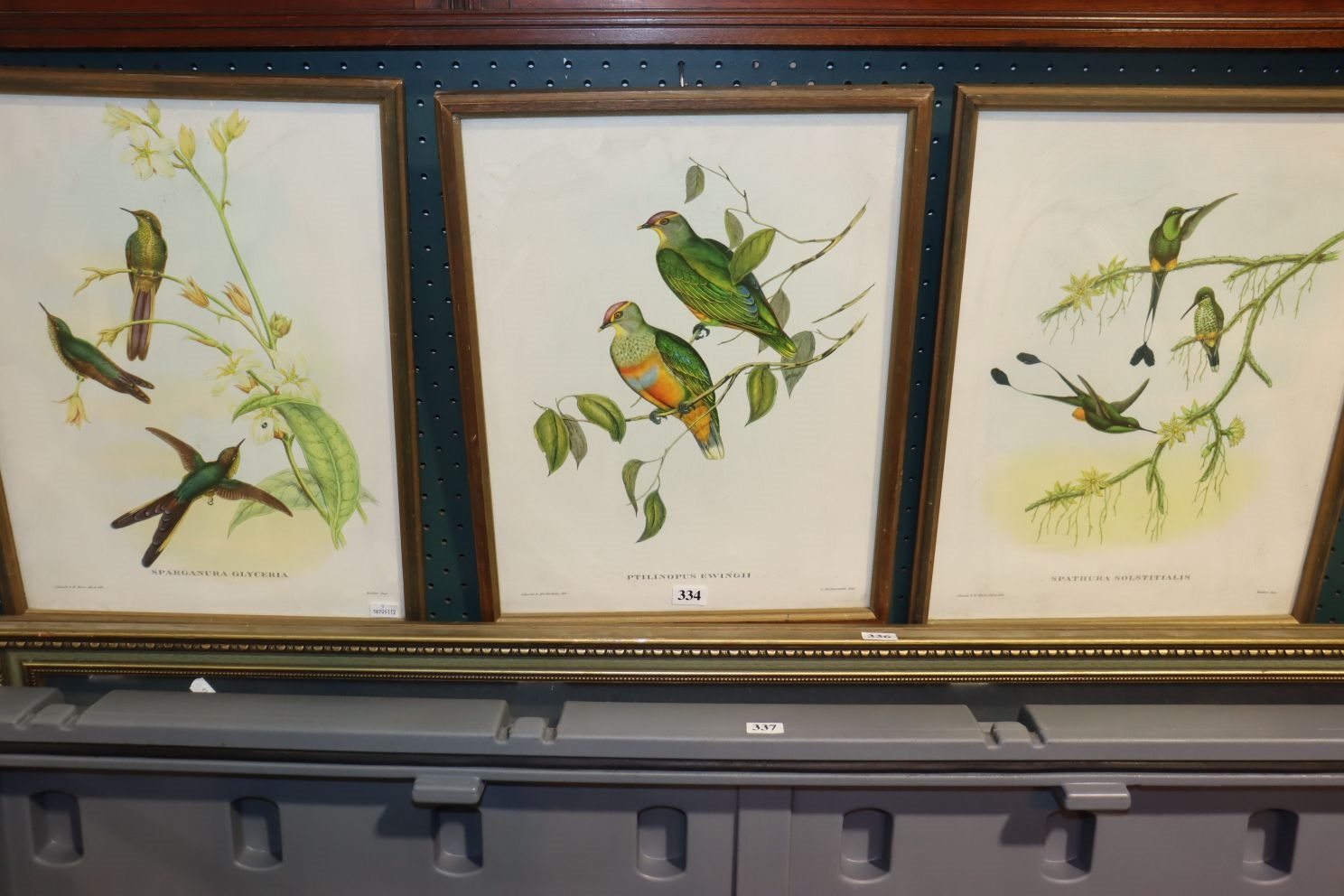 John Gould | JOHN GOULD AND W. HART | MutualArt