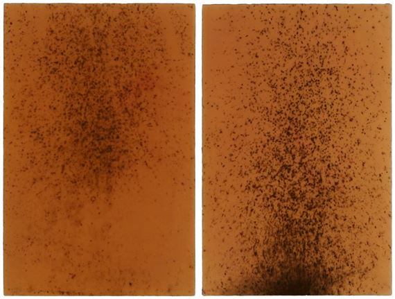 Charles Linder | May 23, 1997 (Graduation): Golden Gate Park / Land's ...