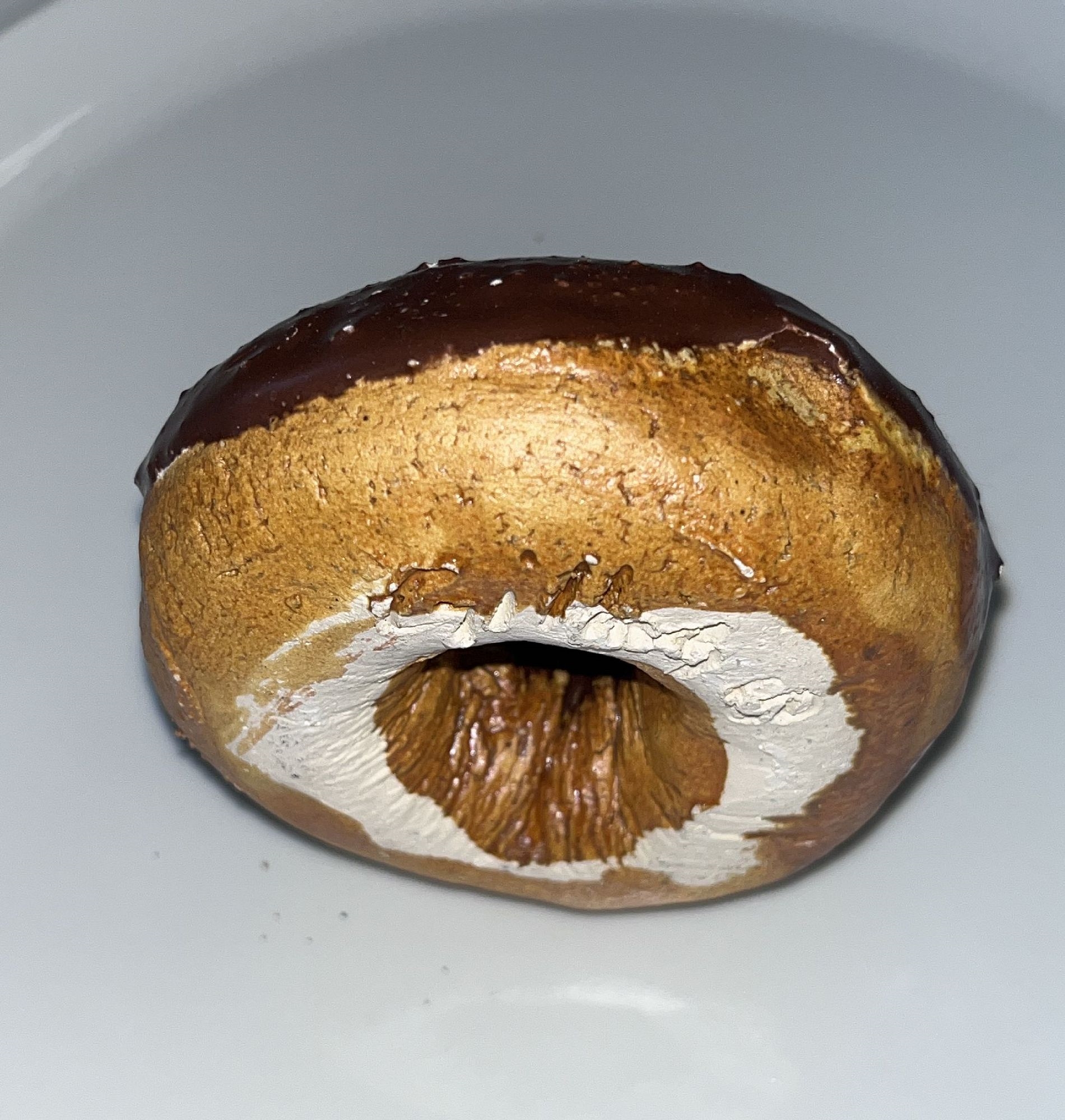 David Gilhooly | David Gilhooly - Chocolate Glaze Donut | MutualArt