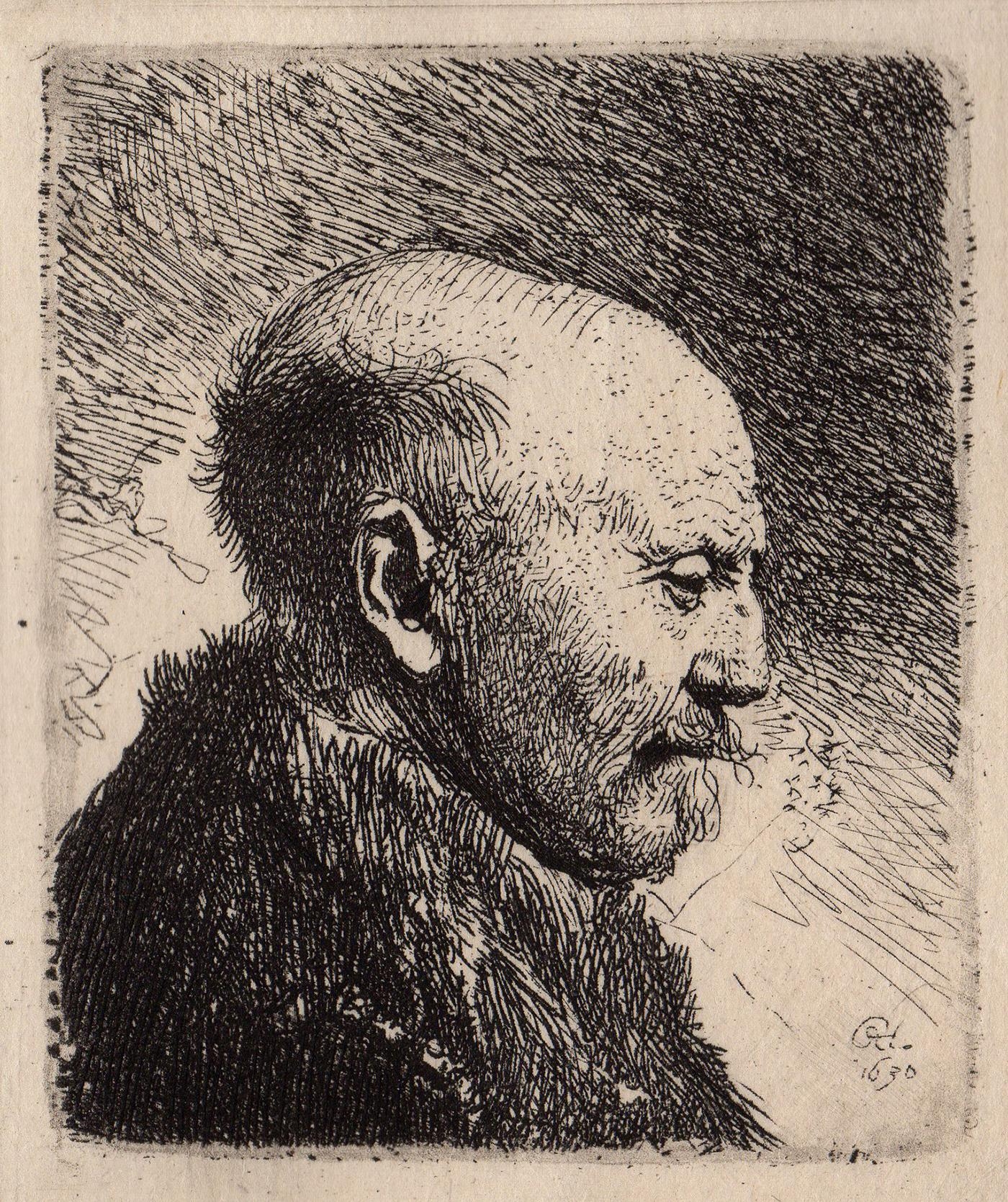 Rembrandt van Rijn | Bald Old Man in Profile Right ( Rembrandt's Father ...
