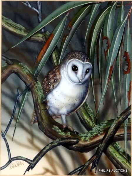 Rod Scott | Barn Owl | MutualArt