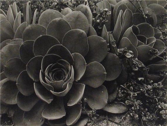 Dody Weston Thompson | 1 Artworks | MutualArt