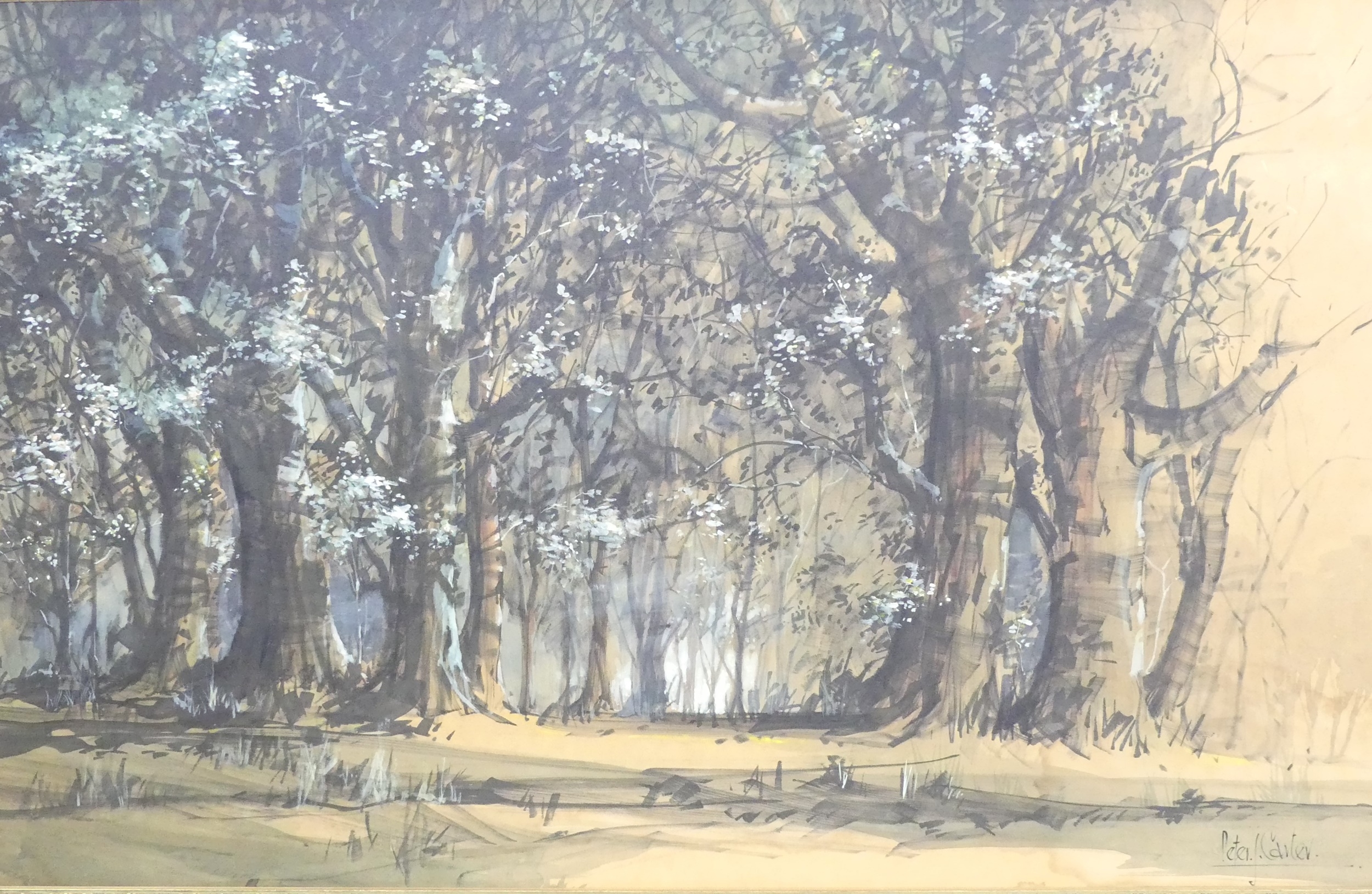 Peter J. Carter | Woodland scene | MutualArt