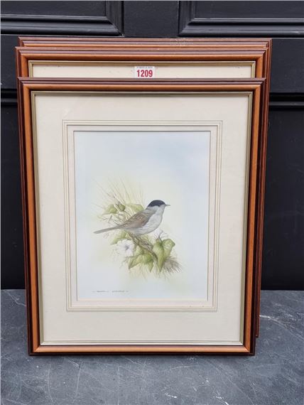 Andrew Osborne | British garden birds | MutualArt