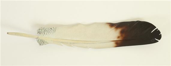 Don Baker | Eagle Feather | MutualArt