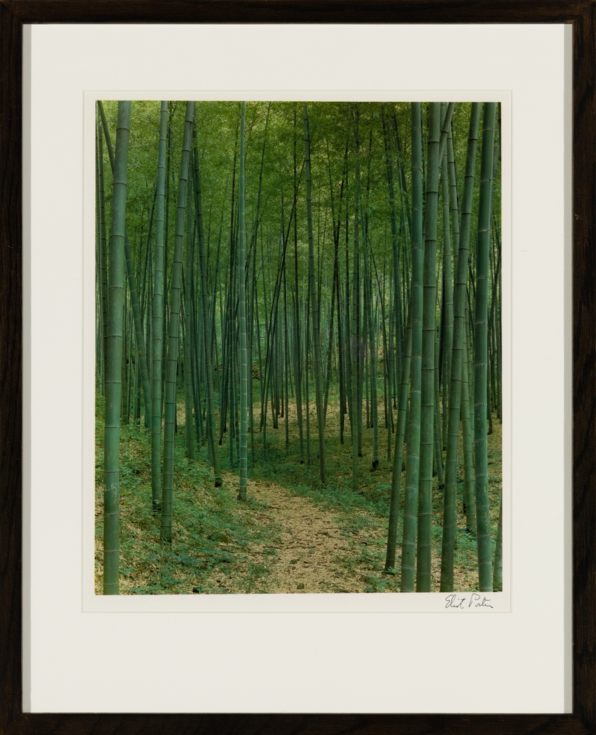 Eliot Porter | Iceland, Portfolio II (Twelve Photographs), 1975 (1975 ...