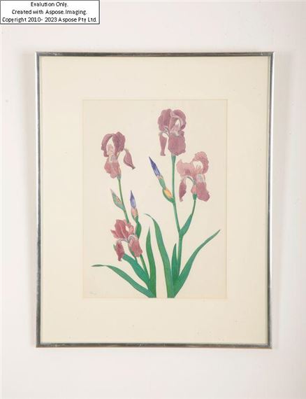 Stephen Walter | Biography