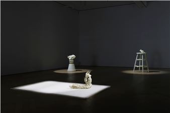 Janine Antoni | 35 Artworks at Auction | MutualArt
