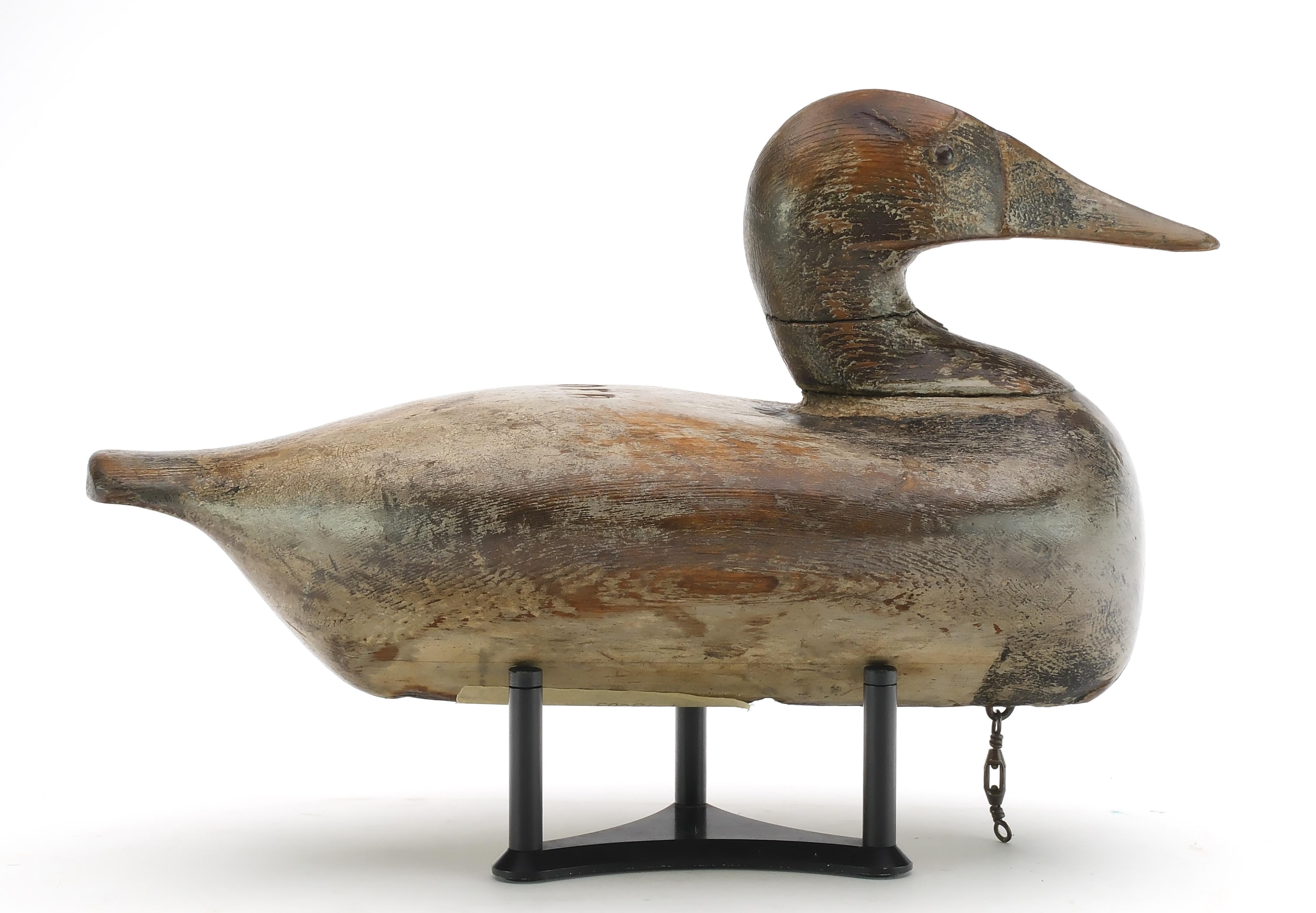 William Hoard | Canvasback | MutualArt