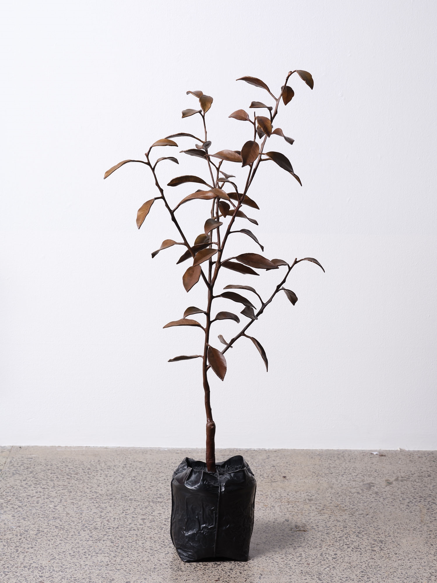 Michael Parekowhai | The Moment of Cubism | MutualArt