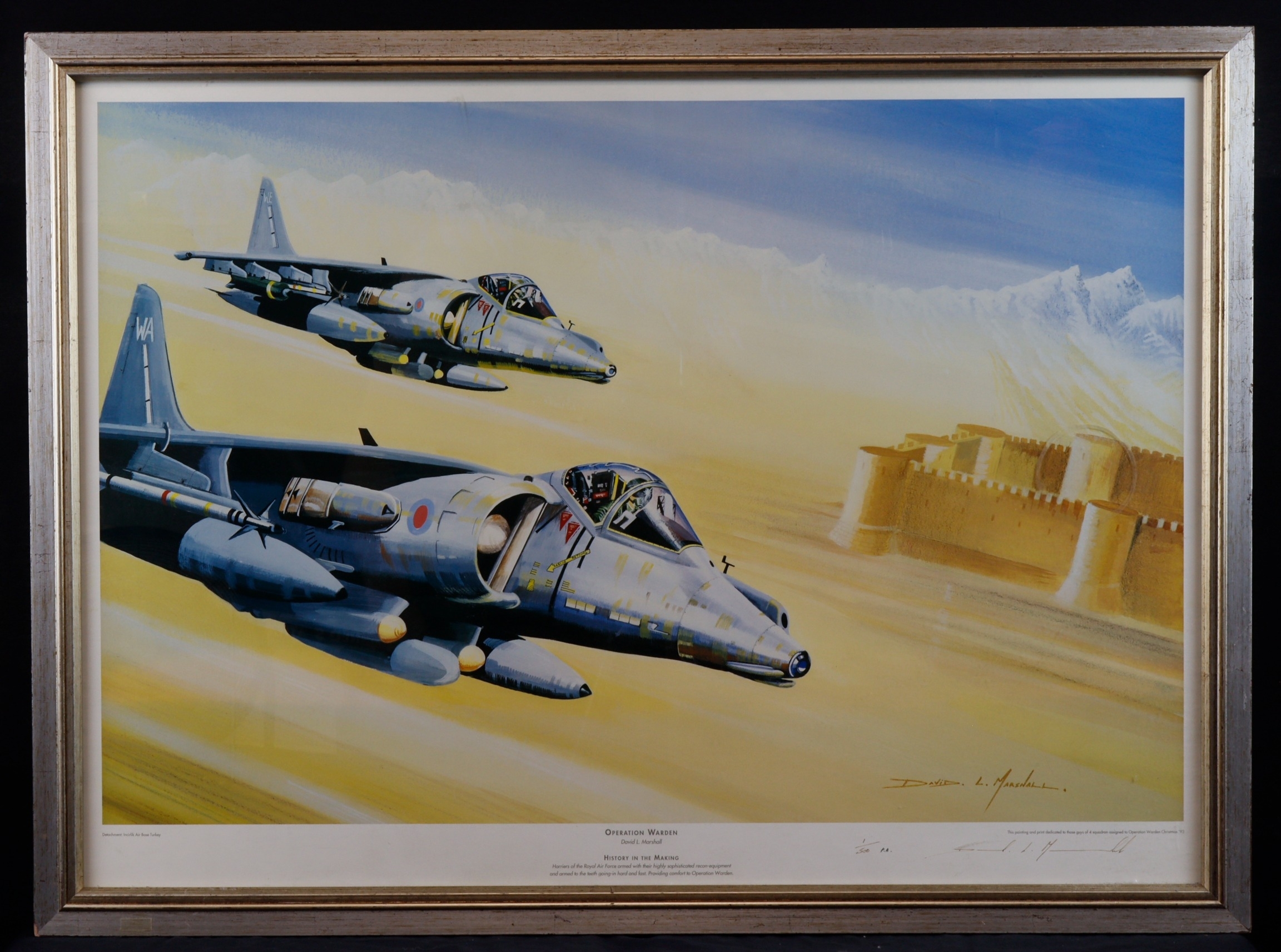 David L. Marshall | Operation Warden | MutualArt
