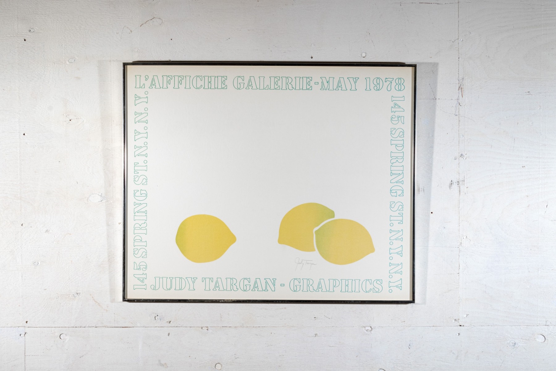 Judy Targan | Lemons | MutualArt