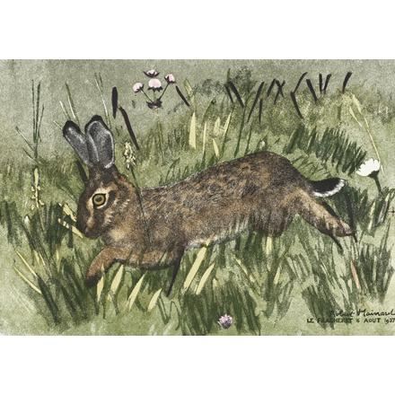 Robert Hainard | Levraut (1937) | MutualArt