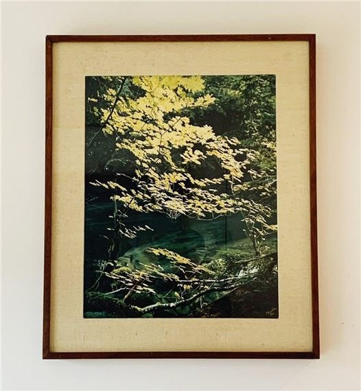 James Randklev | Original Photograph by James Randklev Duck River WA ...