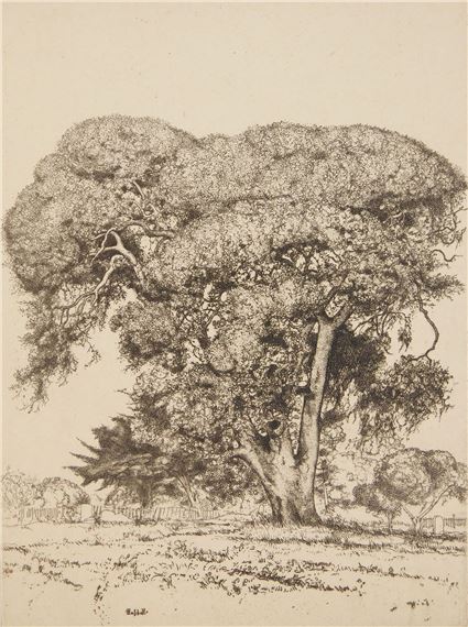 Ernest Haskell | Cemetery Live Oak (1916) | MutualArt