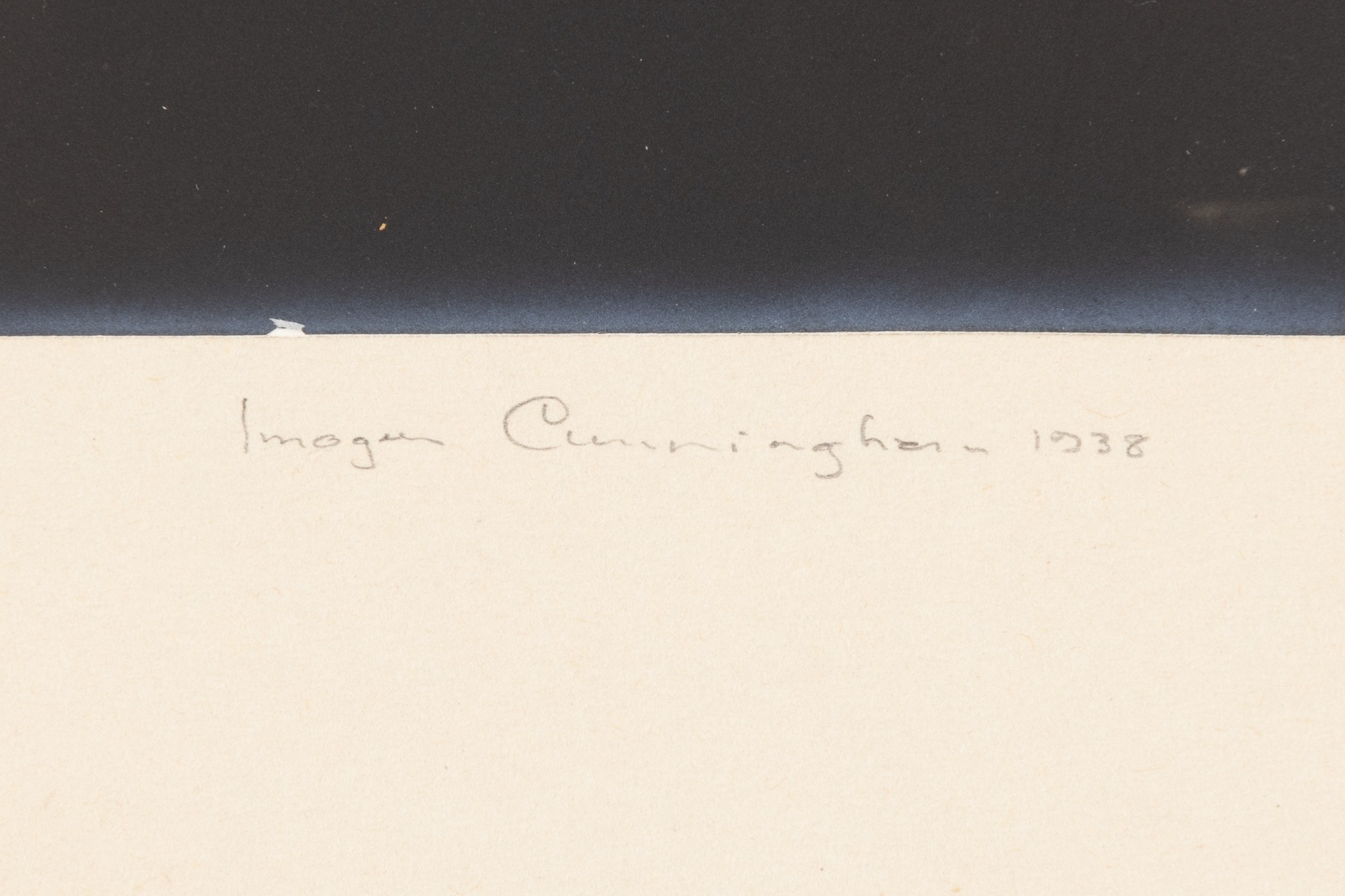 Imogen Cunningham | Portrait of Oakland Physician Lena Engst Thiriot ...