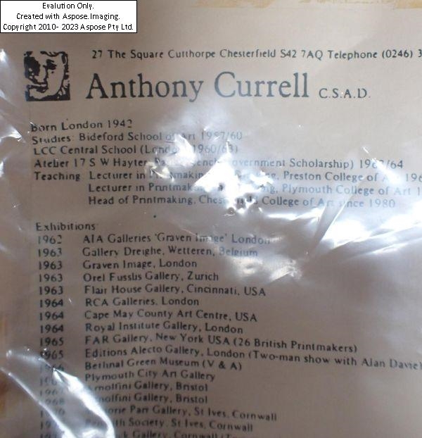 Anthony Currell | ANTHONY CURRELL (1987) | MutualArt