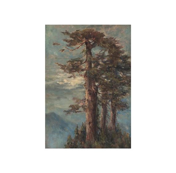Alice Blair Thomas | Pine Trees (1857 - 1945) | MutualArt