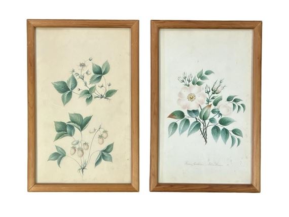 Maria Morris | 1 Artworks | MutualArt