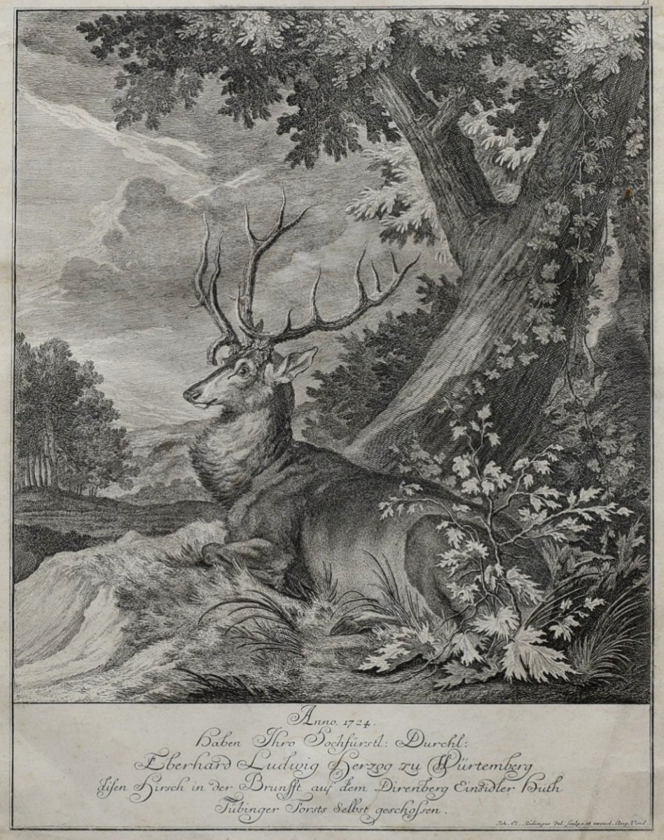 Johann Elias Ridinger | Ležící jelen | MutualArt