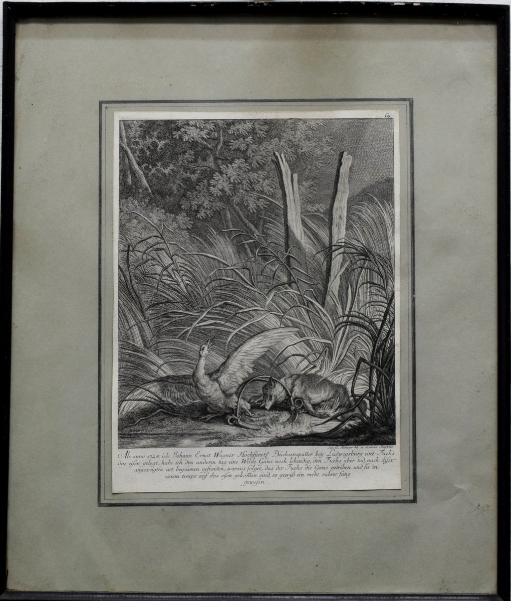 Johann Elias Ridinger | Liška v železech | MutualArt
